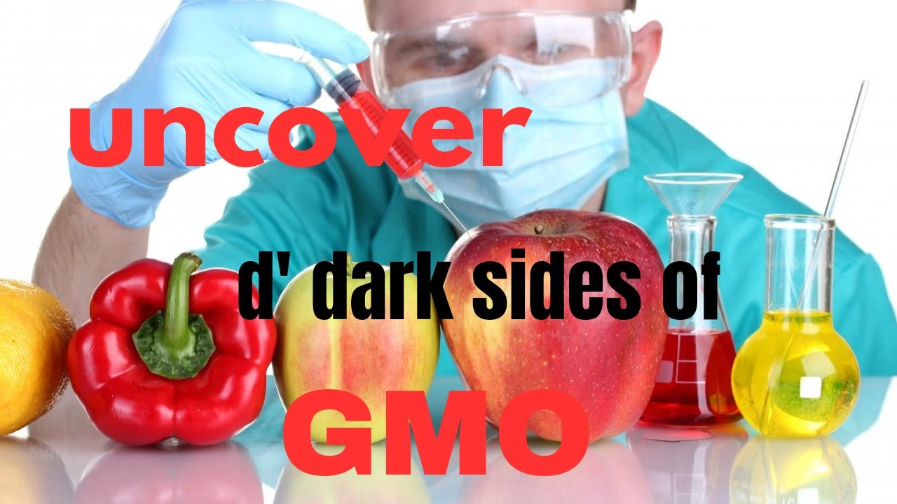 EXPOSING THE DANGERS OF GMO/Uncover the dark side of GMOs and fight for a healthier future ...