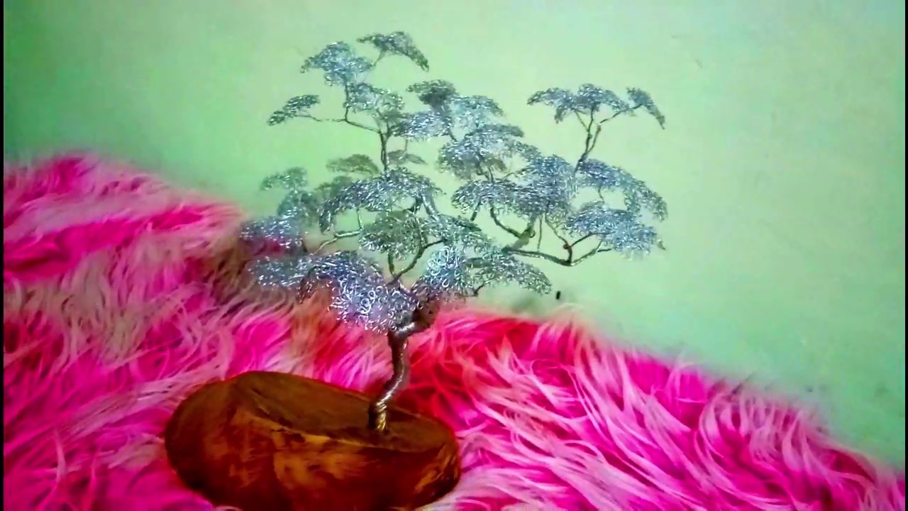 Bonsai Iron Tree - YouTube