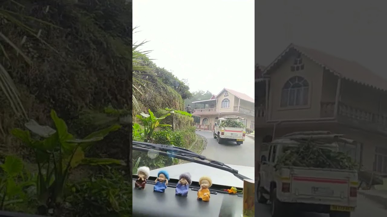 darjeeling cha bagan - YouTube