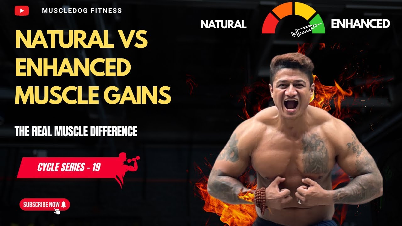 Natural vs Enhanced: How Much Muscle Can You REALLY Build? | Muscledog ...