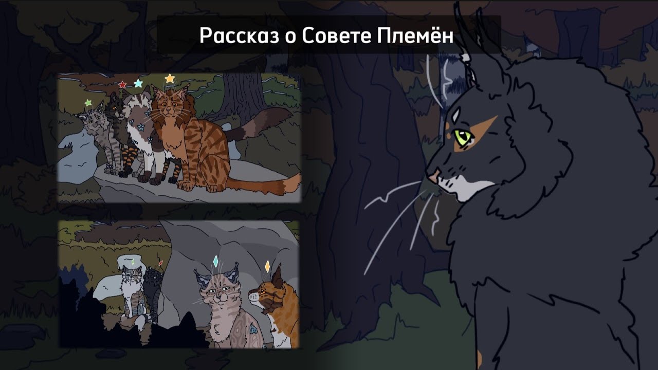 Рассказ о Совете Племён в Котах Воителях 🌌 Youtube