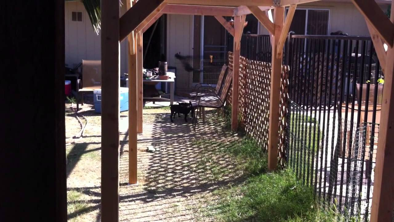 Muscovy duck pen build part 1 (also why I haven't replied to comments ...