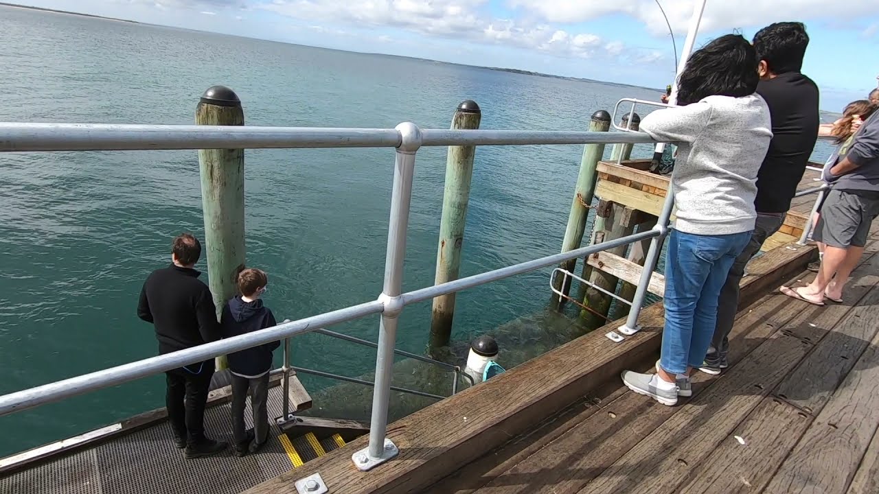 Exploring Cowes Jetty - Phillip Island Australia - YouTube