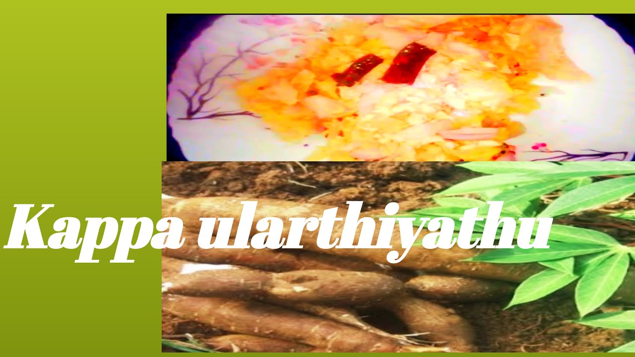 Kappa Ularthiyathu/Tapioca Stir fry/ കപ്പ ഉലർത്തിയത്/maravalli kilangu ...