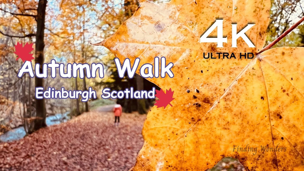Stunning Autumn Walk in Edinburgh - Scotland | Fall Colours Captured in ...