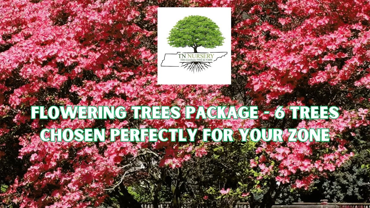 Flowering Trees Package - 6 Trees Chosen Perfectly For Your Zone - YouTube