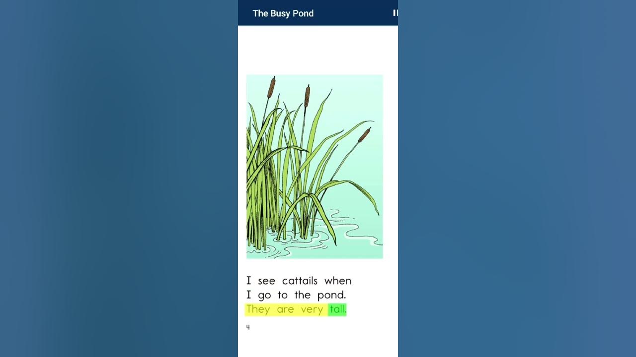 No 13. The Busy Pond. - YouTube