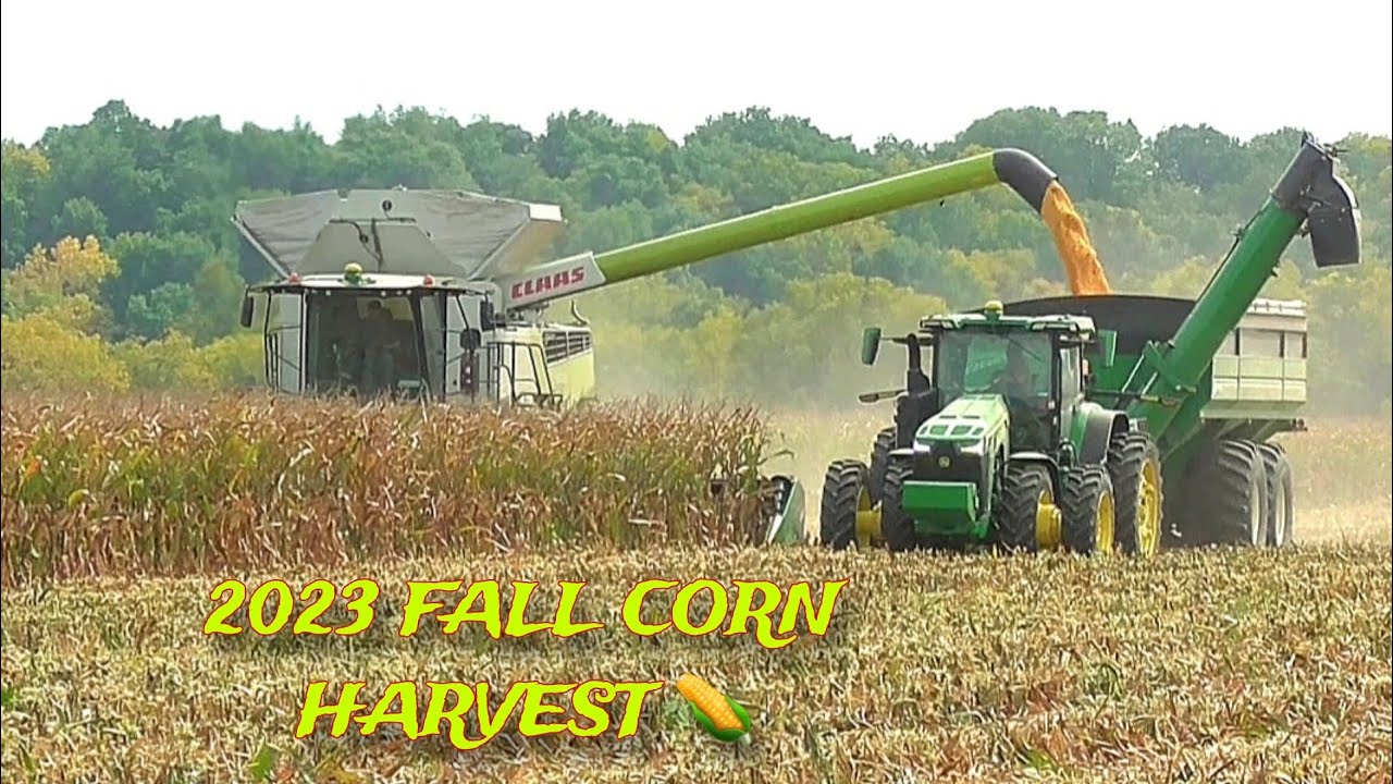 2023 FALL CORN HARVEST 🌽 CLAAS 8700 COMBINE SHELLING CORN 16 ROW CORN ...