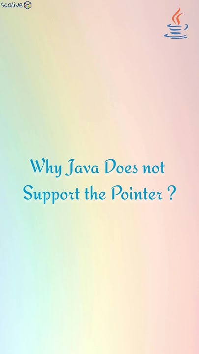 Why Java Does Not Support The Pointer Java Scalive Shorts Youtube