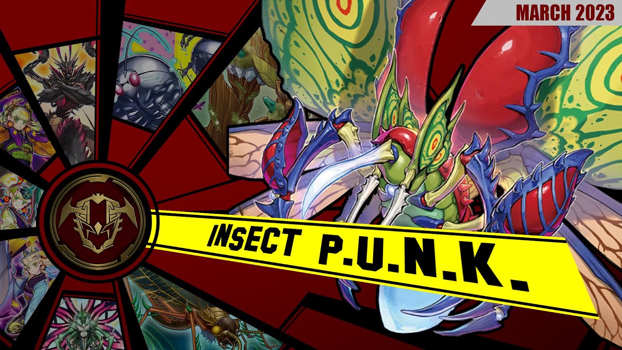 Yu-Gi-Oh! INSECT P.U.N.K. | Deck Profile 2023 | Haga se nos une a ...