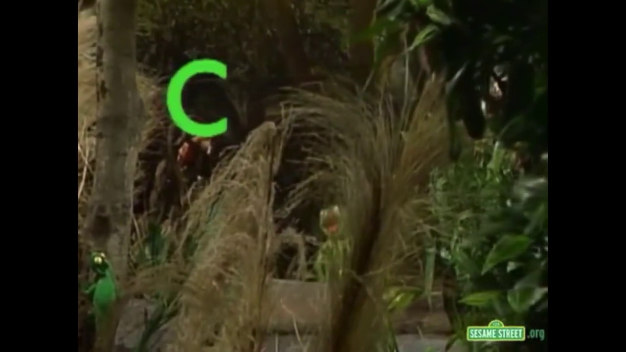 Sesame Street - ABC’s Of The Swamp - YouTube
