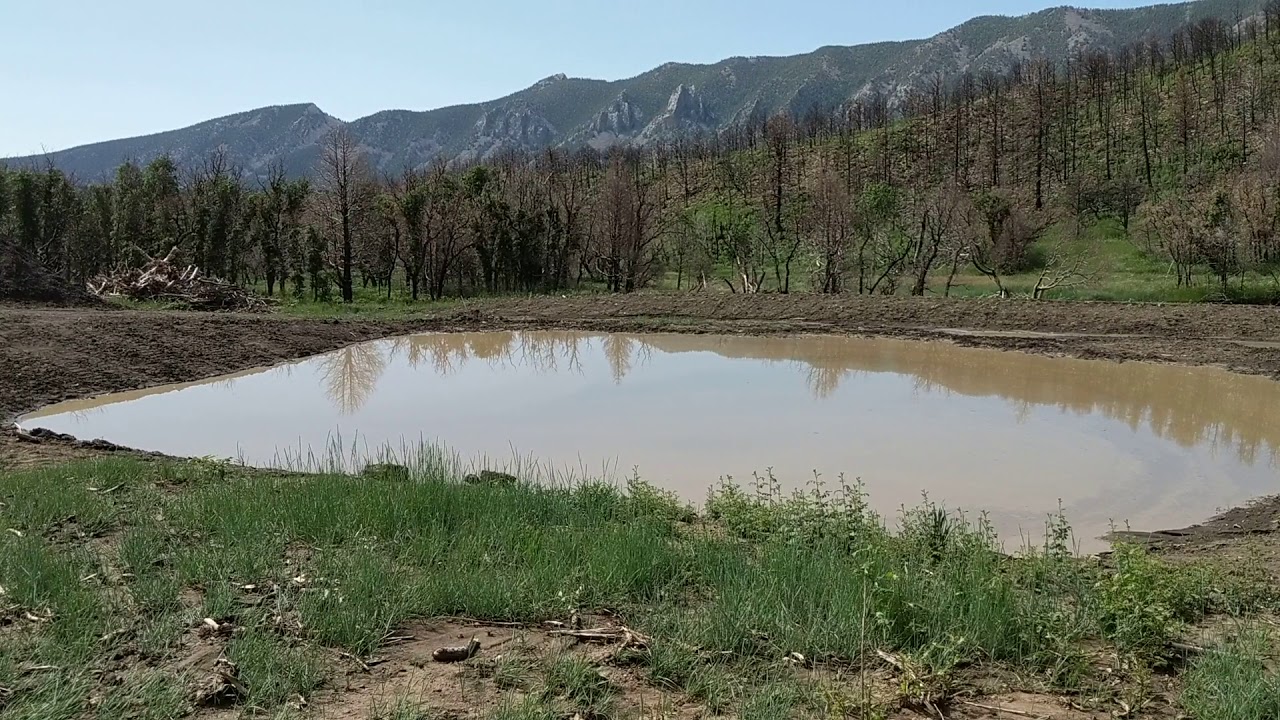 Pit Tank full of water - YouTube