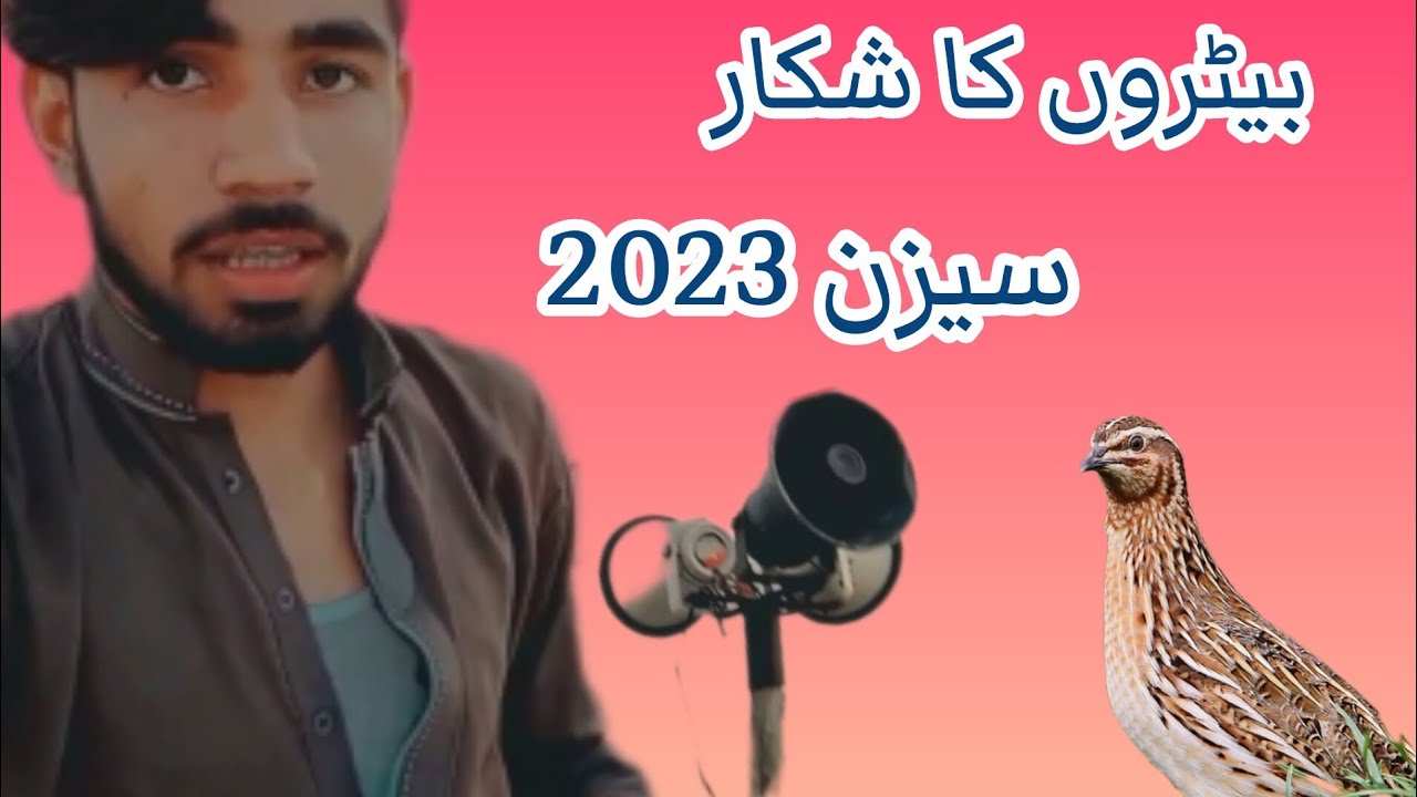 Batair ka shekar season 2023 batair hunting video batair ki awaz # ...