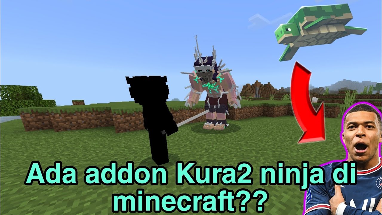 Addon ini merubah penyu di menkrep menjadi kura2 ninja???? - YouTube