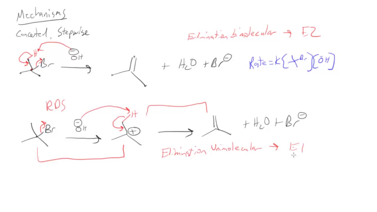 Chapter 8.3 Elimination Mechanisms - YouTube