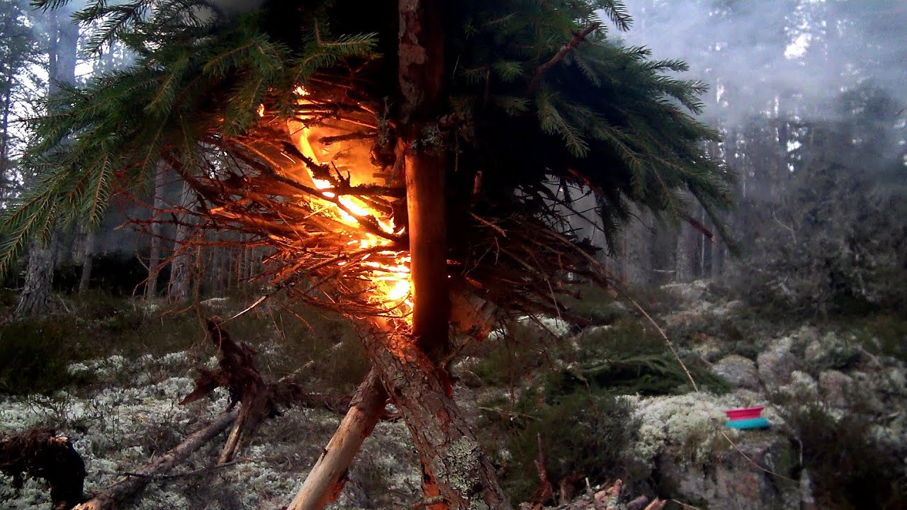 Basic Survival Training - Use This Distress Signal If Lost - Smoke ...