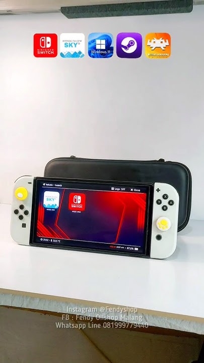 cara cfw nintendo switch kiriman dari rungkut surabaya | jasa cfw switch | migrasi cfw atmos sky ...