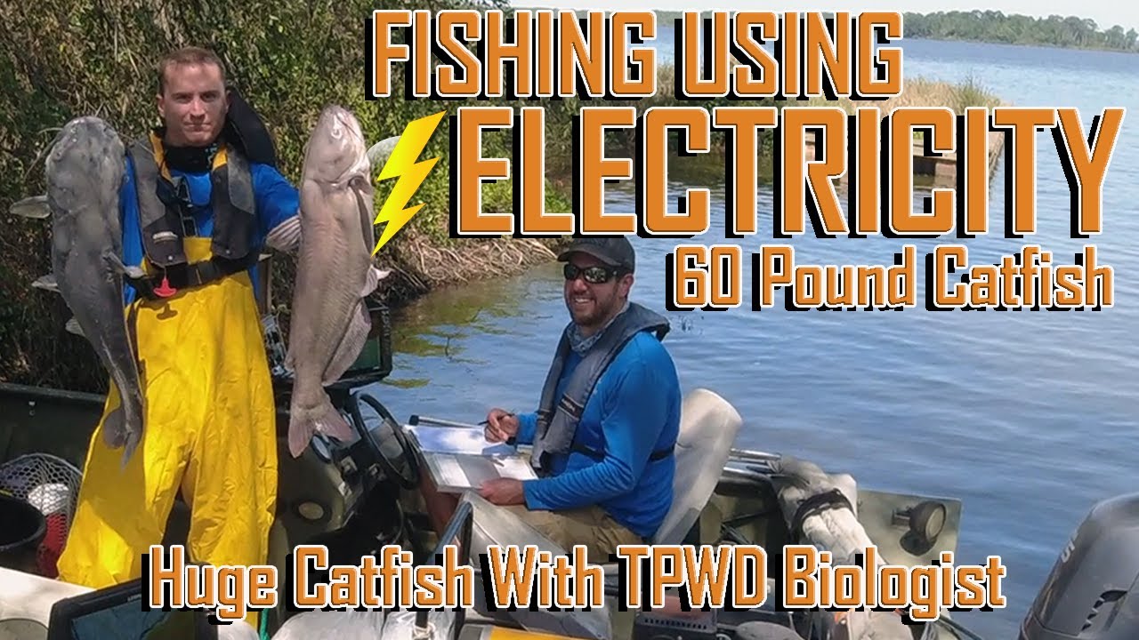 CATCHING FISH USING ELECTRICITY, Shocking! | If Only This Was Legal, EP ...