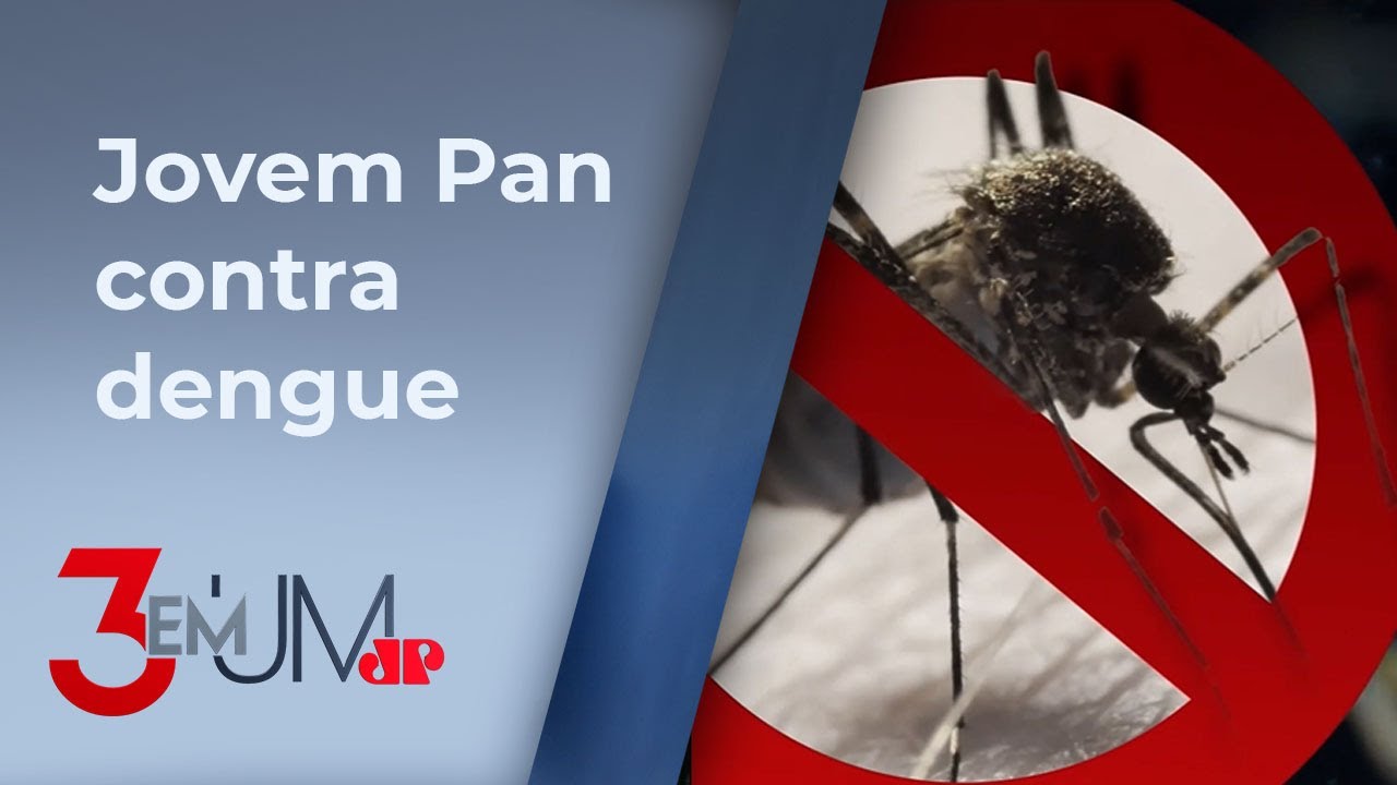 Dengue: Febre e manchas pelo corpo são principais sintomas - YouTube