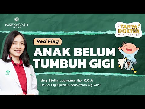 Gigi Anak Terlambat Tumbuh, Kenali Penyebab dan Solusinya - drg. Stella Lesmana Sp. K. G. A