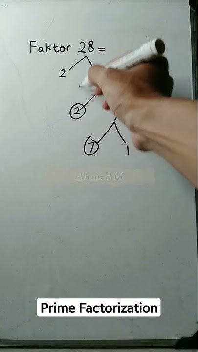 Prime Factorization Easy Steps - YouTube