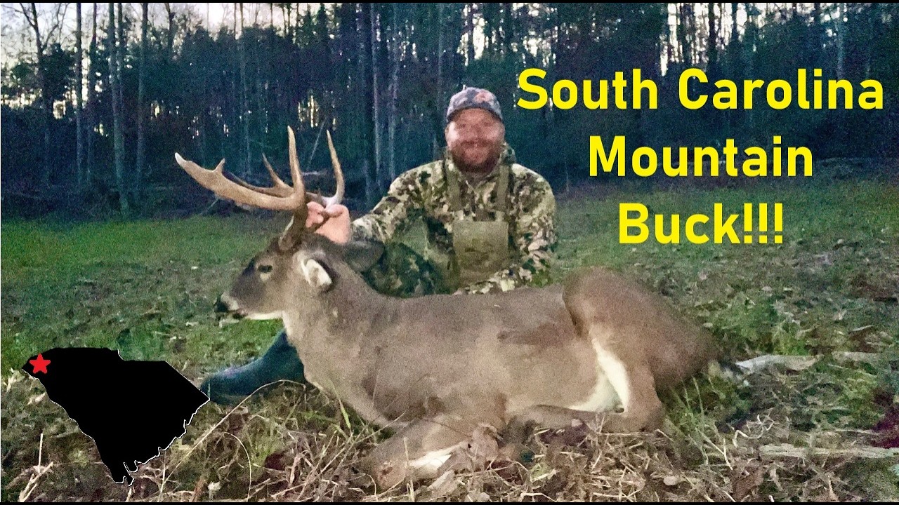 Big South Carolina Mountain Buck! - YouTube