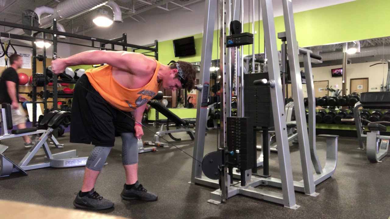 Single Arm Cable Tricep Kickback - YouTube