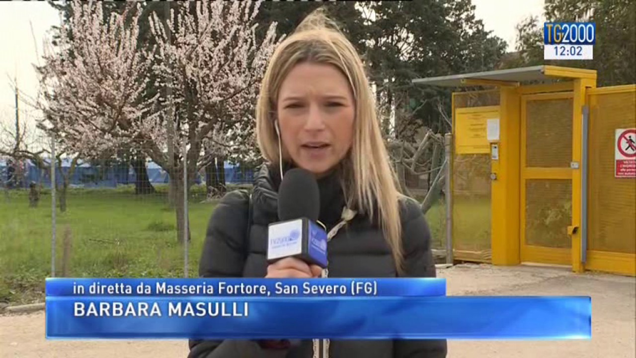 Puglia: il collegamento con Barbara Masulli il giorno dopo l'incendio ...