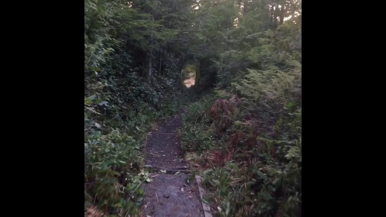 Cape Alava at sunset - YouTube