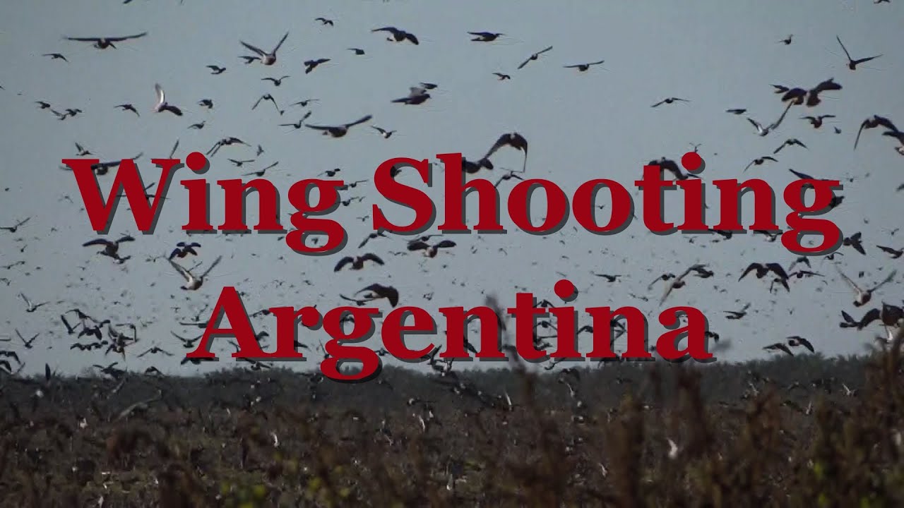 Argentina Wing Shooting | www.dennystiner.com - YouTube