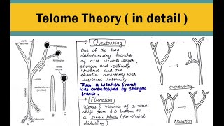 Telome u0026 Phyllode theory| Morphology u0026 Anatomy ... | Doovi