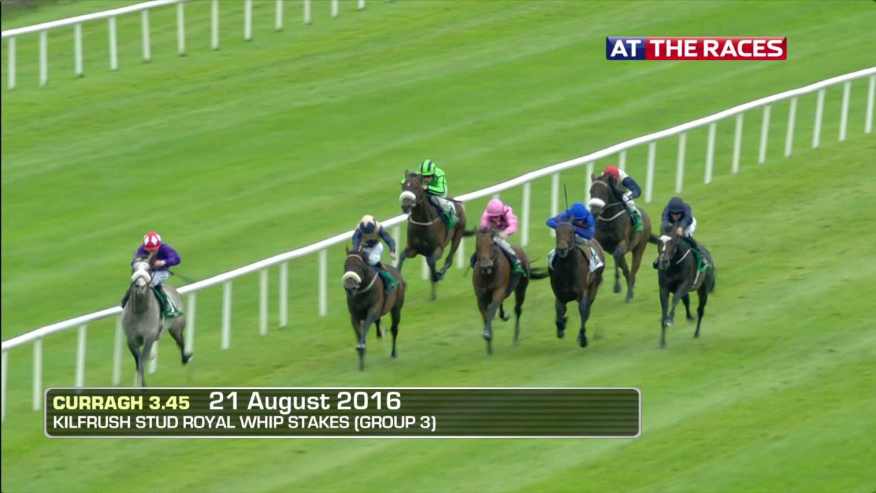 Curragh highlights 21st August 2016 - YouTube