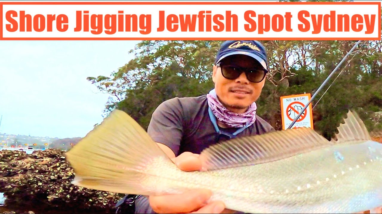 Shore Jigging Jewfish Spot Sydney - YouTube
