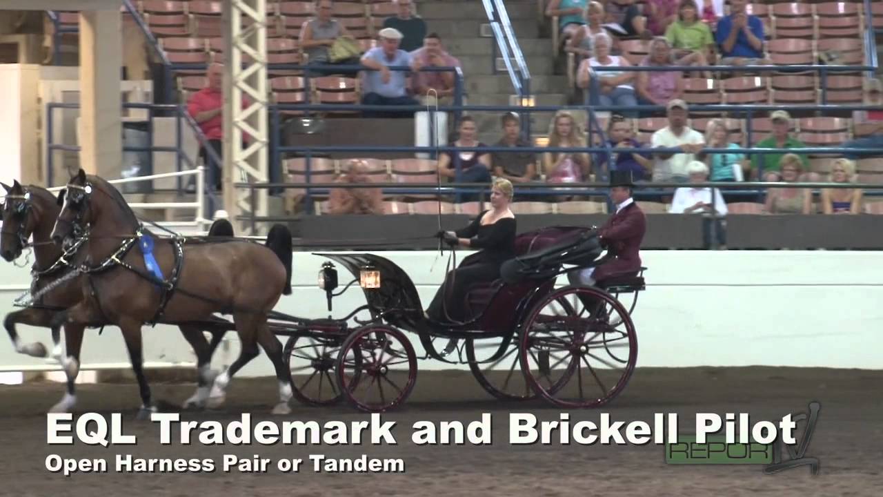 Friday Highlights - YouTube