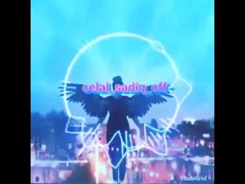 Whatsap statuslari 2019