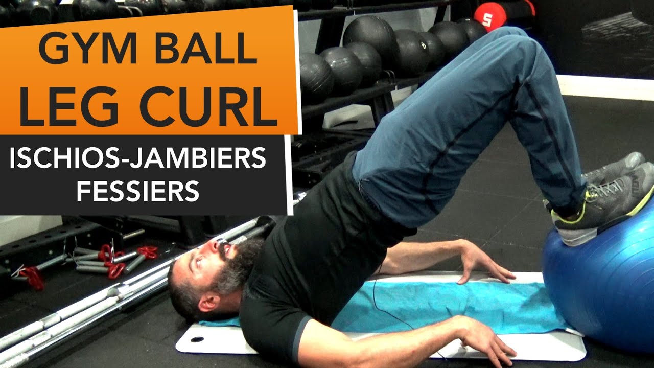 Gym Ball LEG CURL : Un excellent exercice pour fessiers et ischios ...