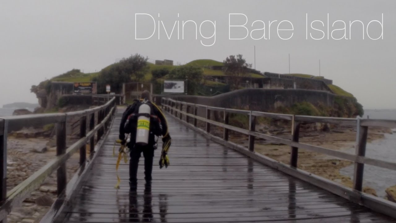 Diving Bare Island - YouTube
