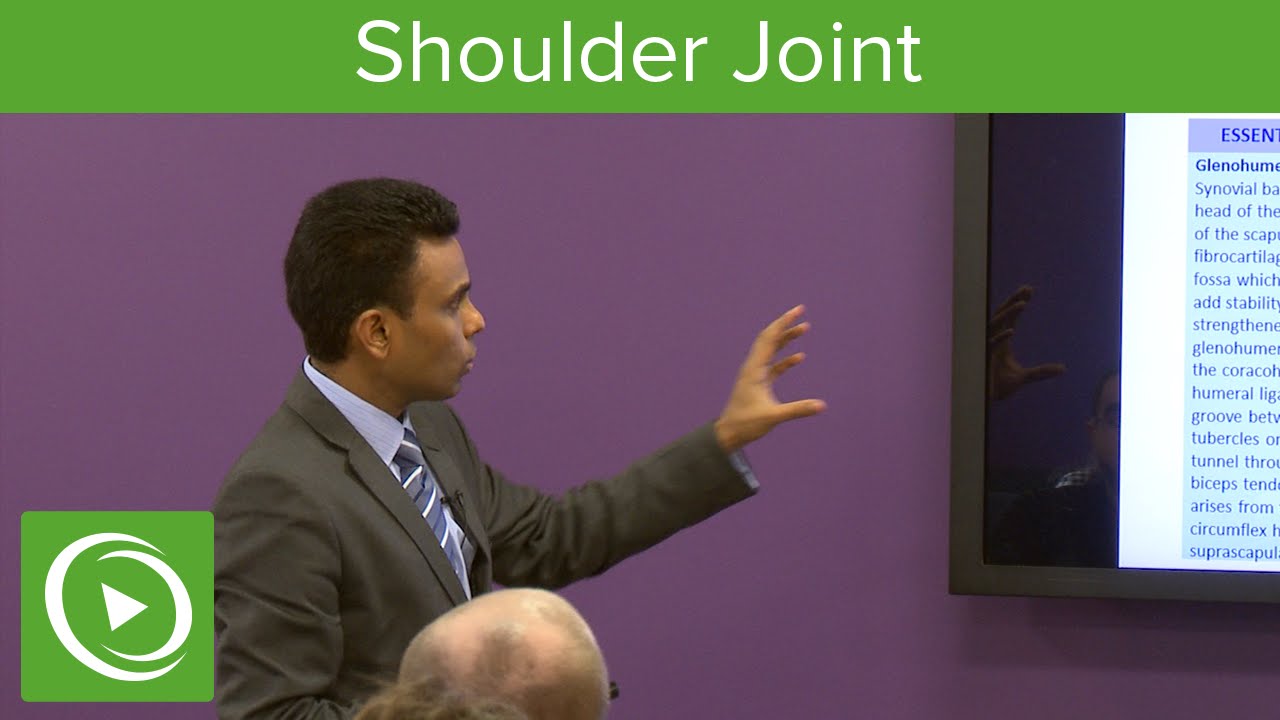 Muscles of the Shoulder Joint – MRCS | Lecturio - YouTube