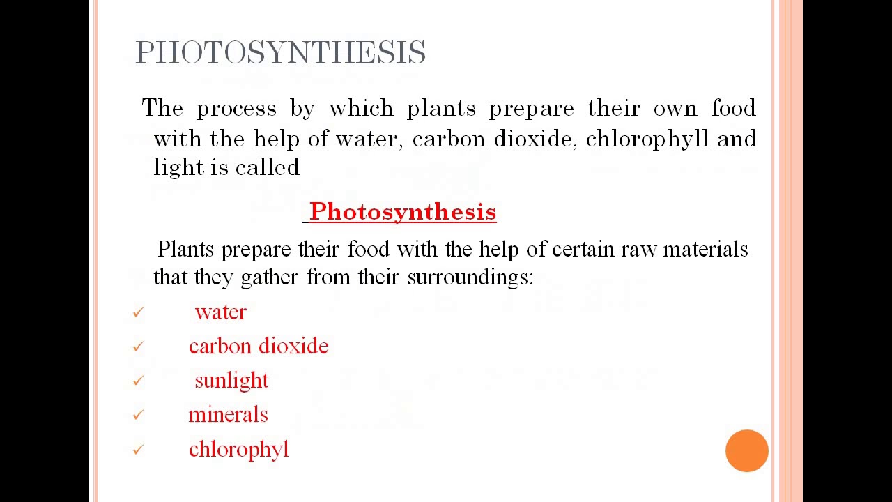 lesson 1 Science class 7 chapter 1 Archana kumari - YouTube