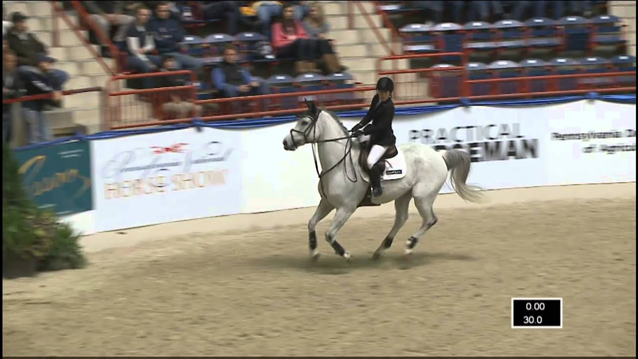 682 EQUIFIT CARLOS Alexandra Cherubini NAL Adult Jumper Finals - YouTube