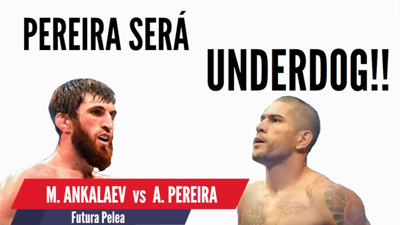 Alex Pereira será UNDERDOG en su pelea ante Magomed Ankalaev - Dan ...