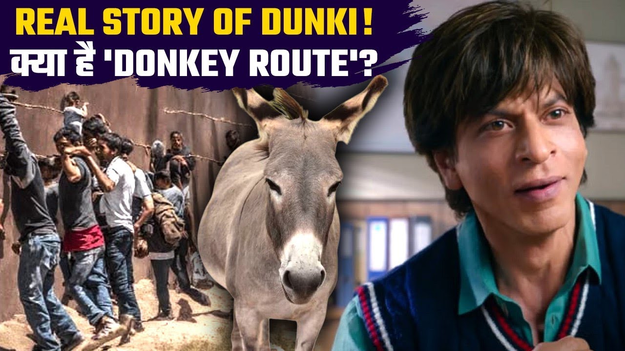 What is reality of Dunki's Donkey Flight, How do people immigrate with ...