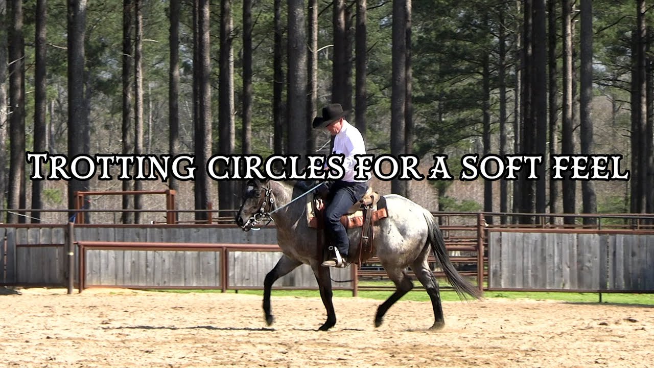 Trotting Circles For a Soft Feel Preview - YouTube