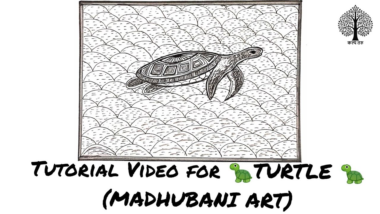 Types of 🐢TURTLE 🐢 in MADHUBANI ART FORM. - YouTube