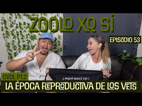 La ÉPOCA REPRODUCTIVA de los VETS (CVDL pt. 2) | Episodio #53 | Zoolo XQ Sí