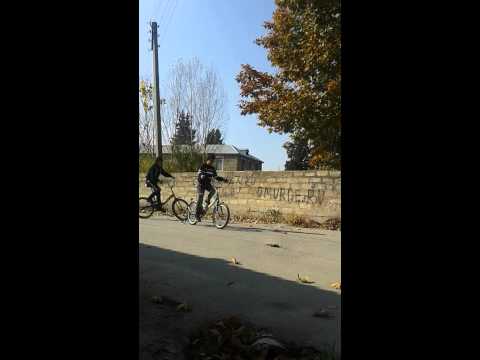 Goycay aftoslari,eli yusif, elvin