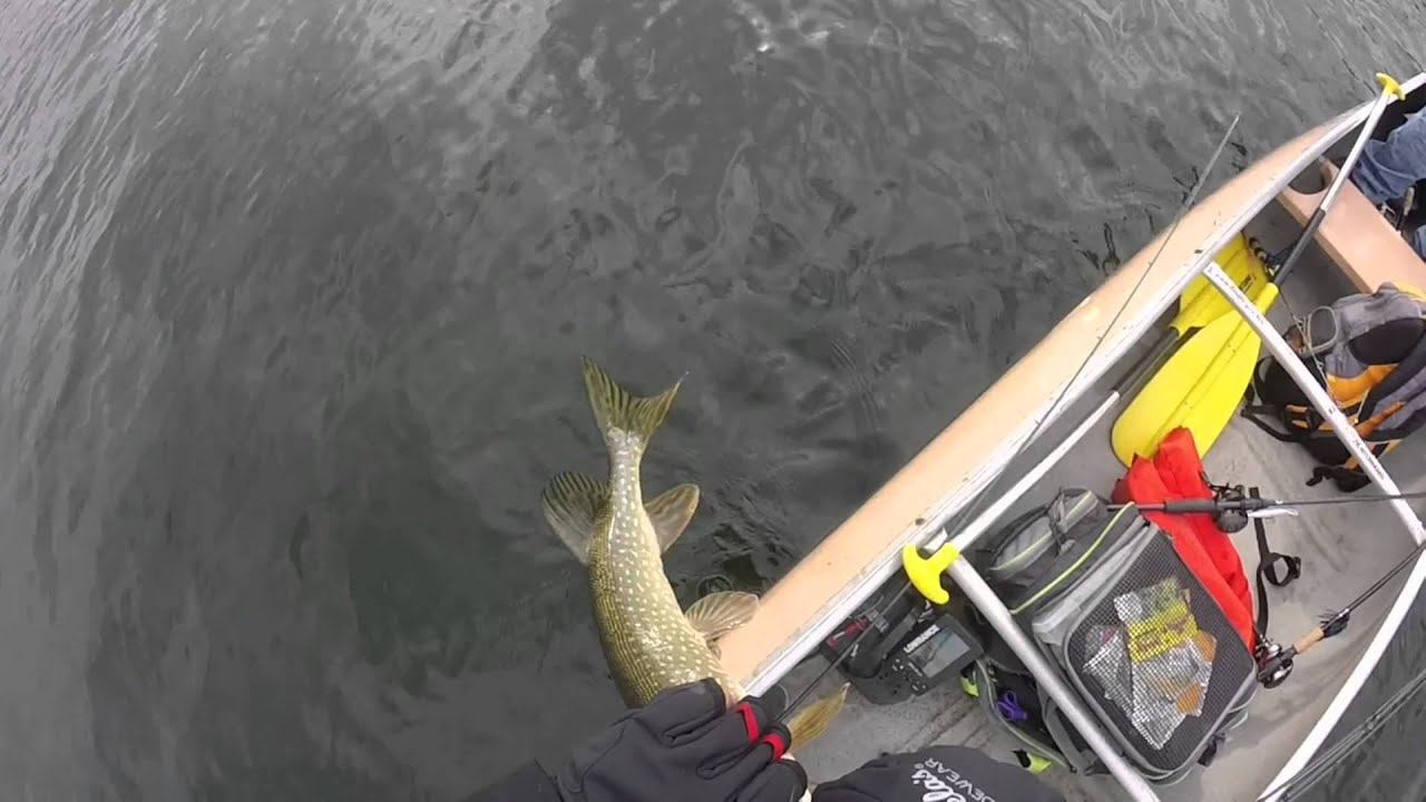 Super Late November MN Bass Fishing, Lake De Montrevile - YouTube