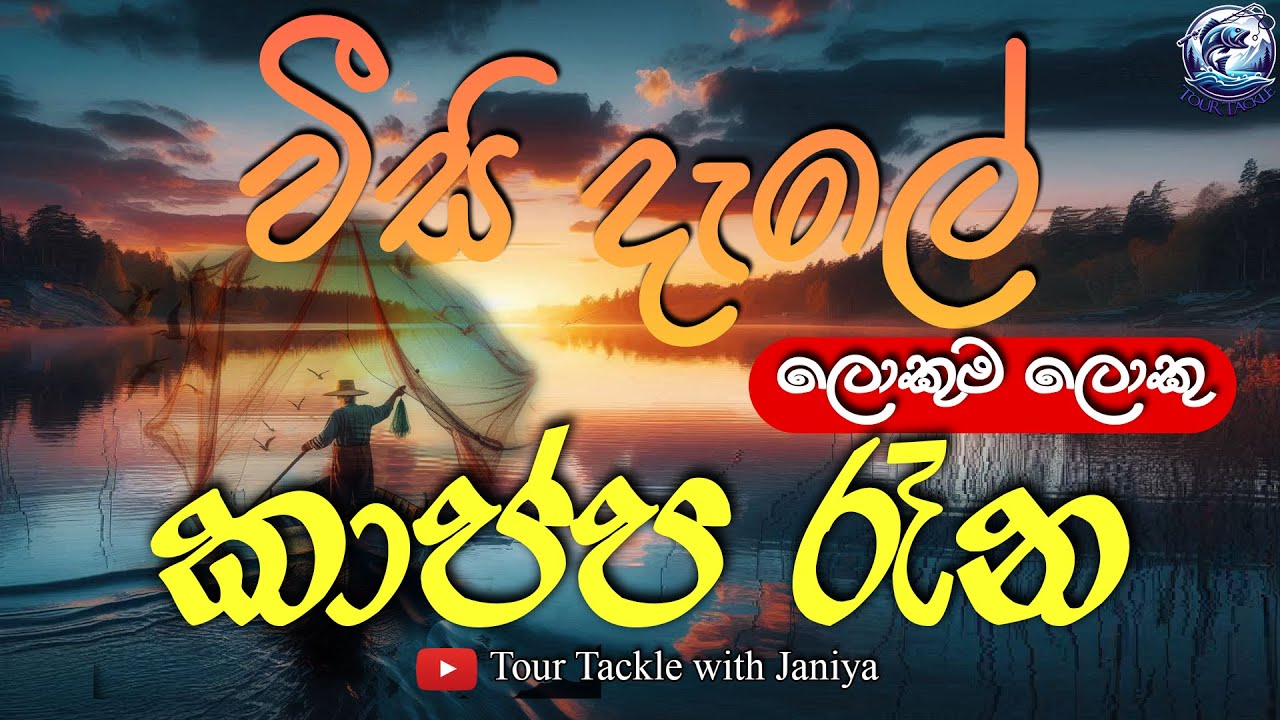 වීසි දැලට අහුවුන ලොකුම ලොකු කාප්ප මාළු රෑන | The largest group of carp fish caught in a cast net ...