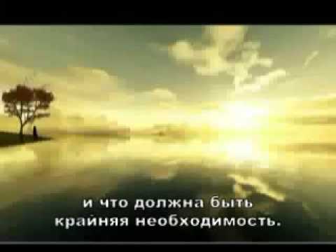 Опровержение Анвару аль Ауляки.  Теракты.  Часть 2. Шейх аль Джарбу