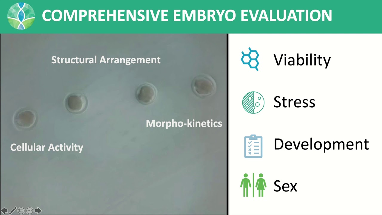EmGenisys Embryo Evaluation - YouTube